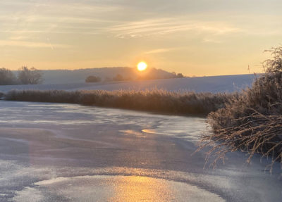 ebaboard 0800 – Die neue Platte von ebalta für Ihre Modelle | ebalta ...